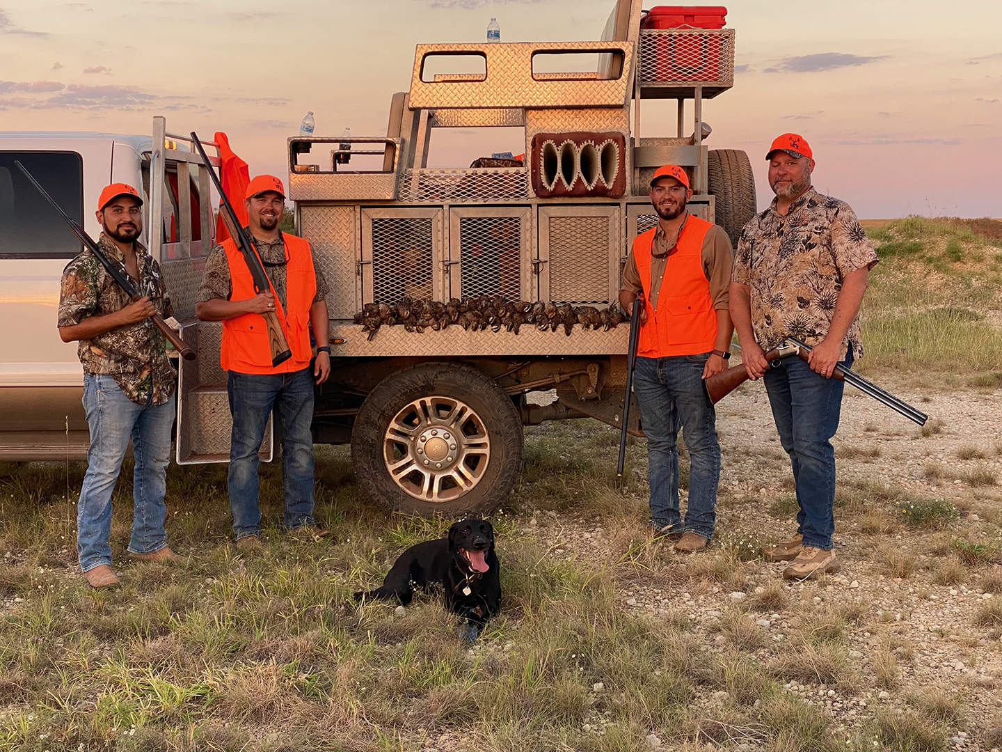 Quail – Wilson Whitetail & Wingshooting Ranch